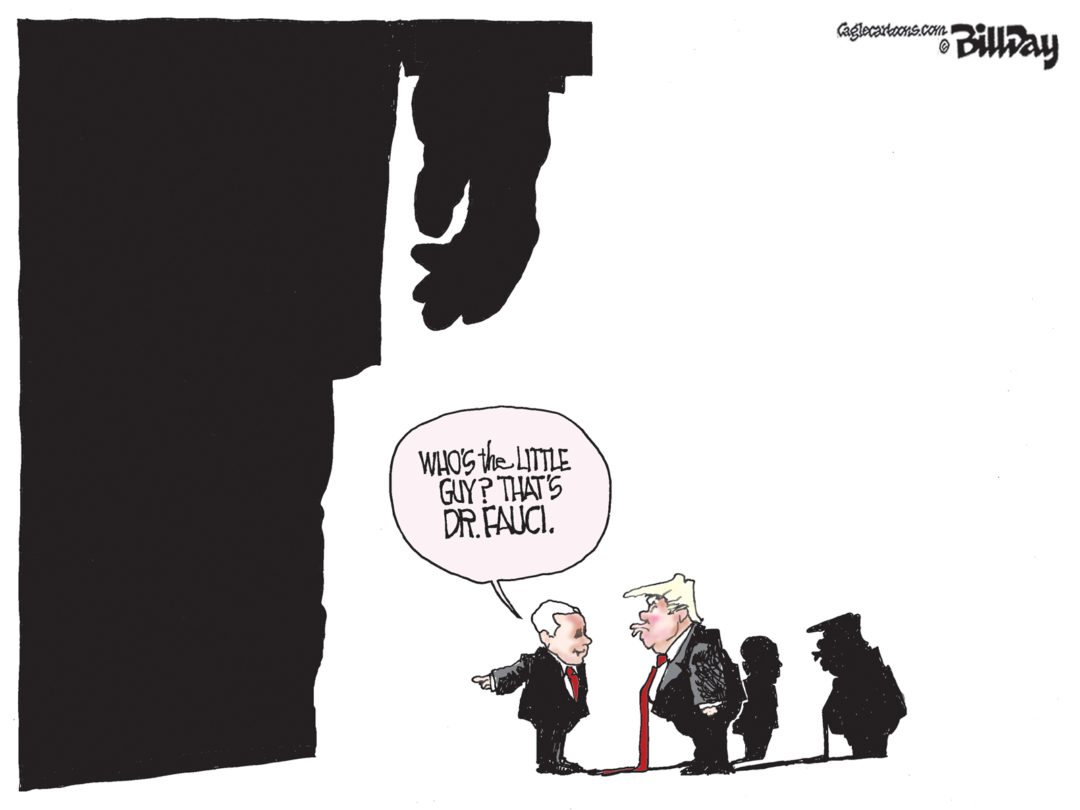 Doctor Fauci, A Cartoon By Award-Winning Bill Day | Smart City Memphis